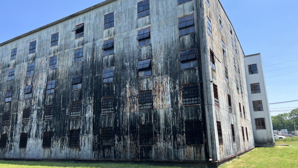 Whiskey fungus and how it impacts the industry